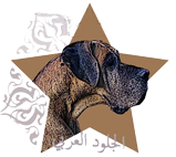 Alano maschio fulvo e tigrato - fawn and brindle Great Dane male - Du ...